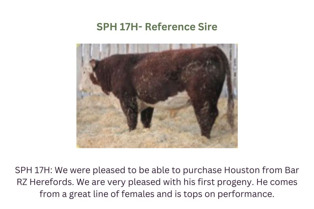 Reference Sires 2024 – Holloway Farms Ltd.